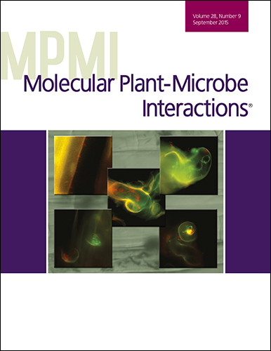 Mirror image in plant study flagged on PubPeer grows into retraction – Retraction Watch