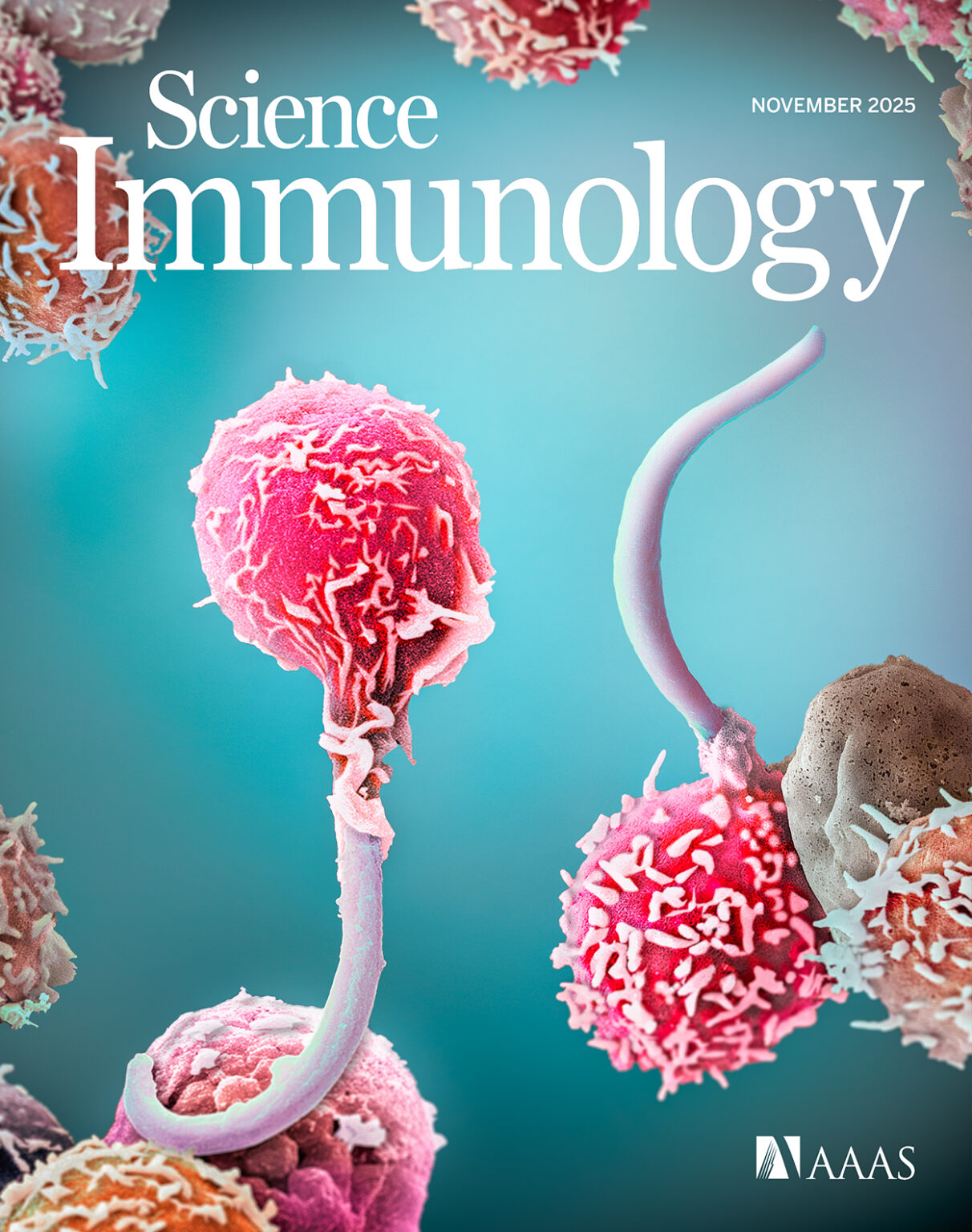 COVID-19 paper by scientists at Harvard, Duke gets expression of ...