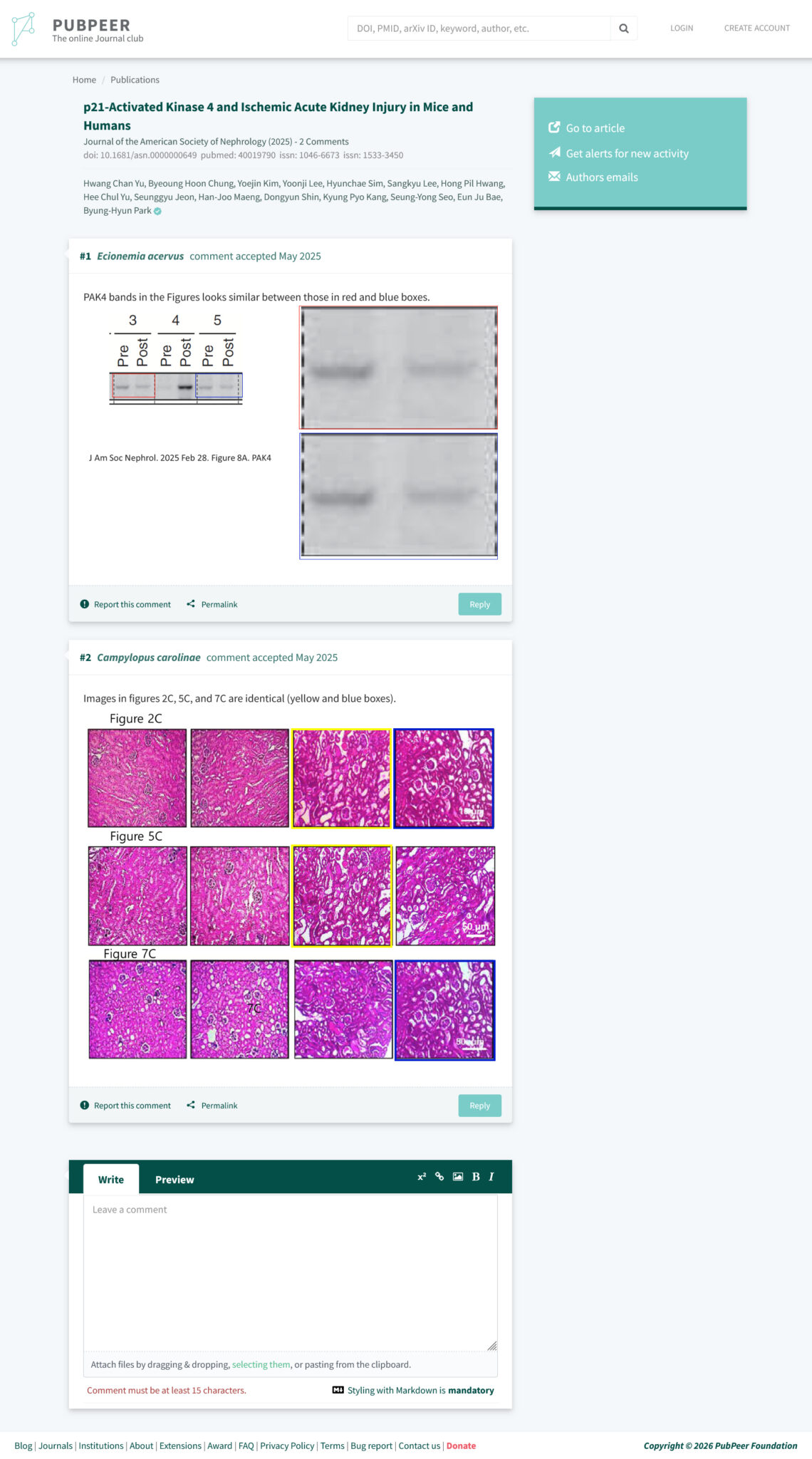 PubPeer comment 3 – Retraction Watch